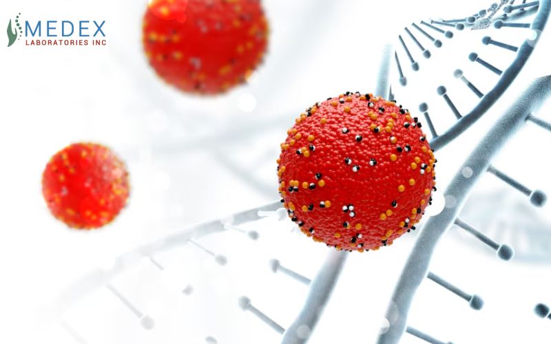 Early Cancer Detection with Genetic Screening | Medex Labs